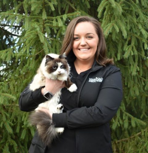 Dundee, MI 48131 Veterinarians | Heritage Animal Hospital